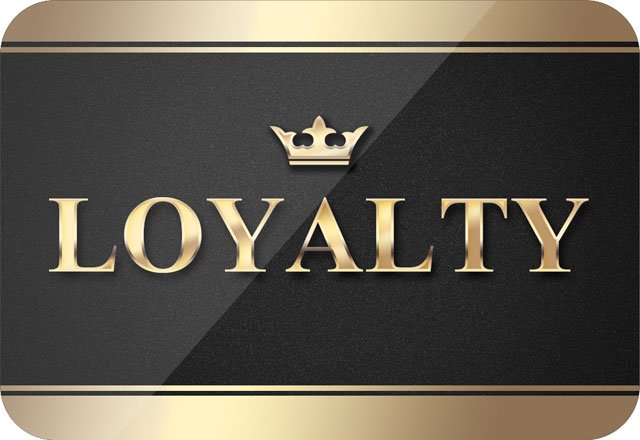 BCI BCILC-BARMAG41-500 Blank PVC ID Card - Barcodesinc.com