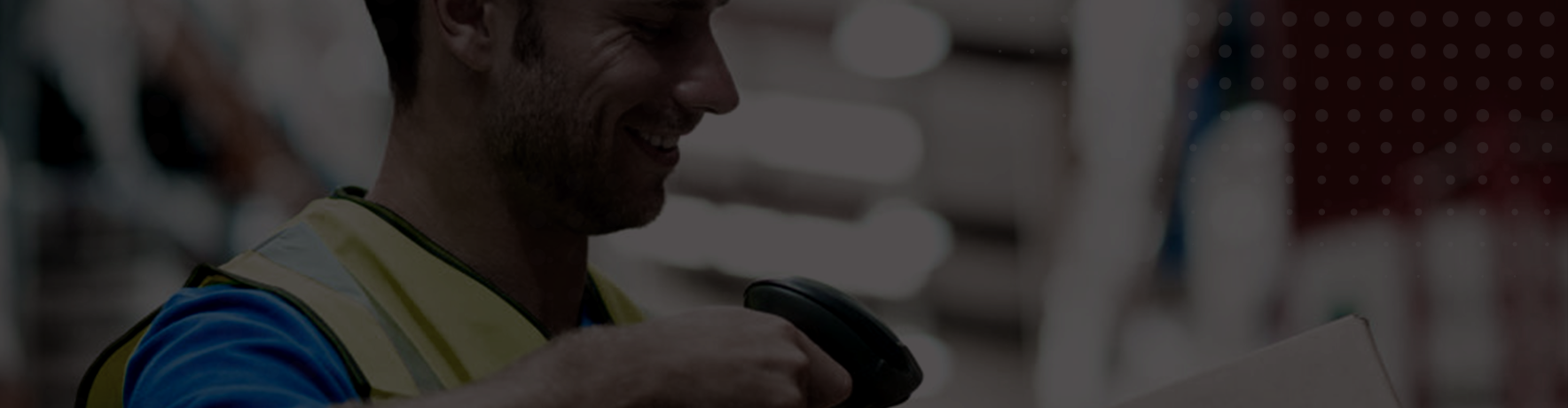 QStock Scan and Label - Barcodes Solutions